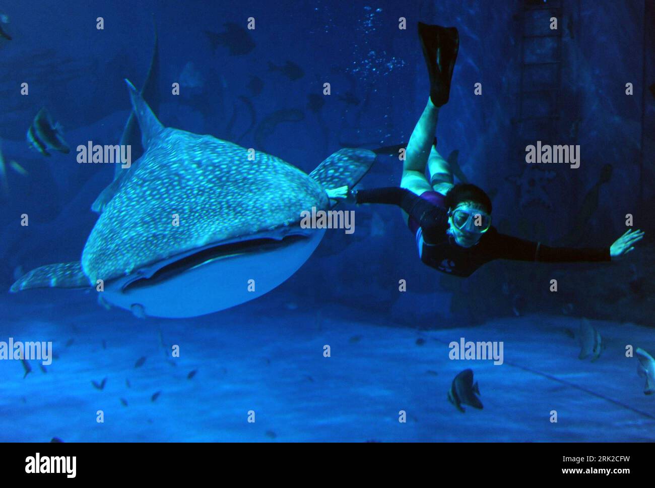Bildnummer: 53163350 Datum: 18.06.2009 Copyright: imago/Xinhua Walhai ...