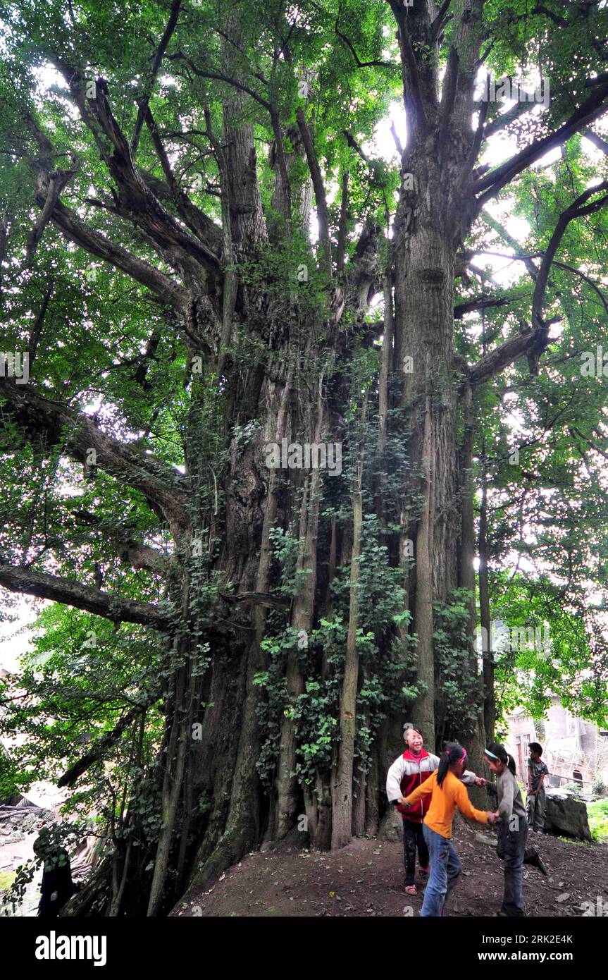 Bildnummer: 53173177 Datum: 30.06.2009 Copyright: imago/Xinhua Several ...