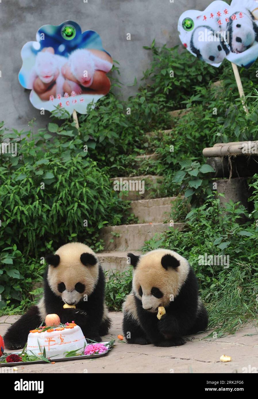 Bildnummer: 53180857 Datum: 06.07.2009 Copyright: imago/Xinhua (090706 ...