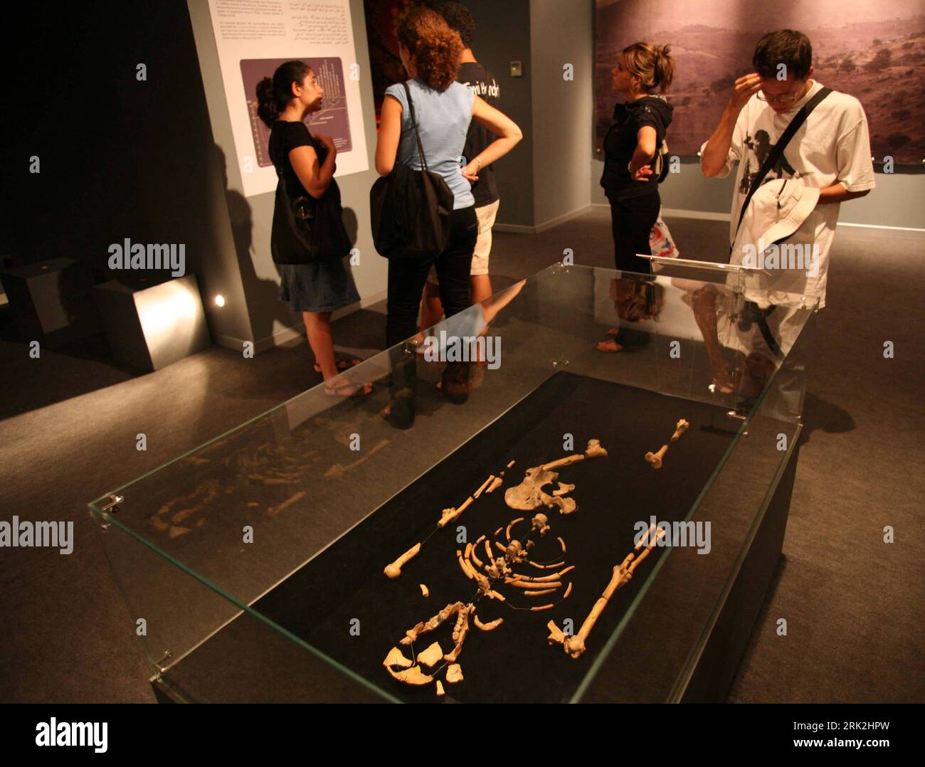 Australopithecus afarensis skeleton hi-res stock photography and images ...