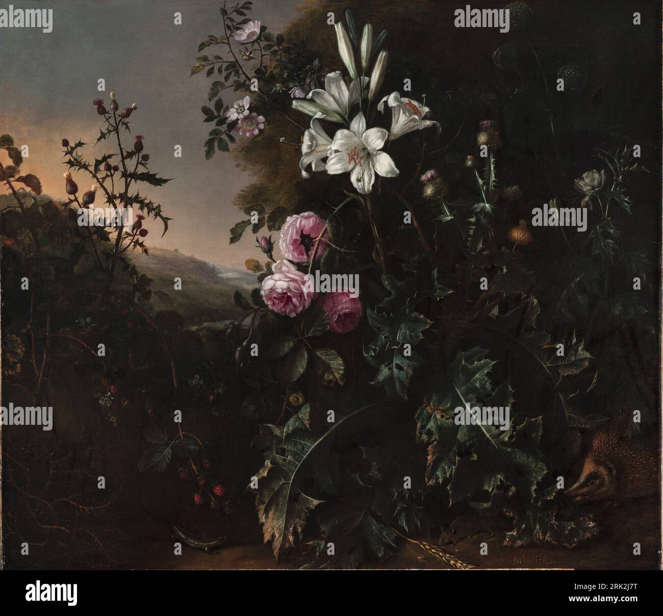 Still Life by Matthias Withoos Stock Photo - Alamy