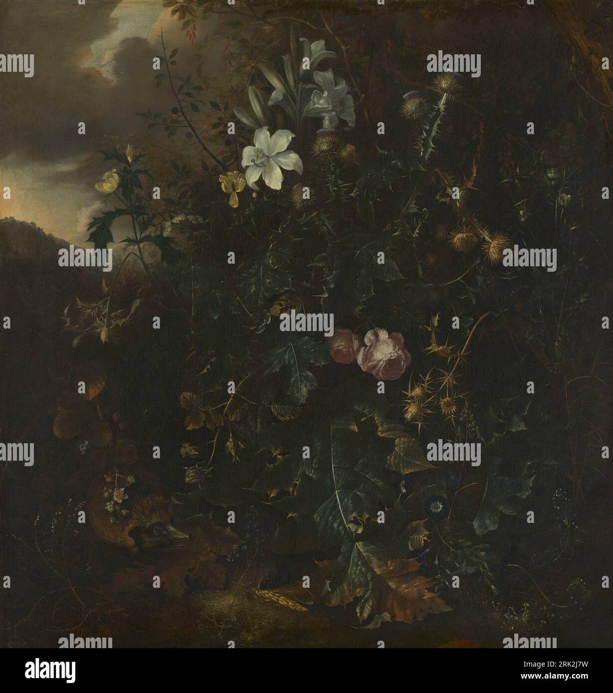 Flowers with Insects 1665 by Matthias Withoos Stock Photo - Alamy