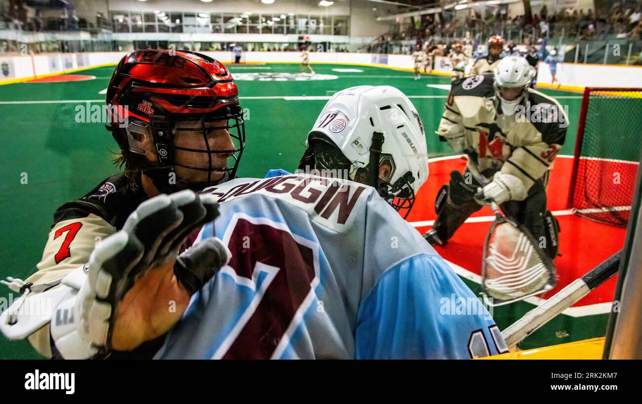 Mason mcquiggen hi-res stock photography and images - Alamy