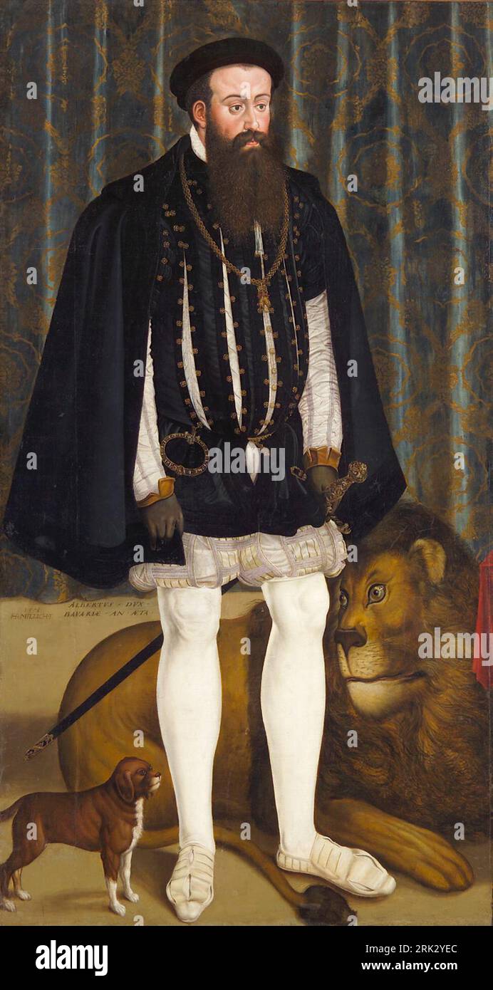 Einem lowen hi-res stock photography and images - Alamy