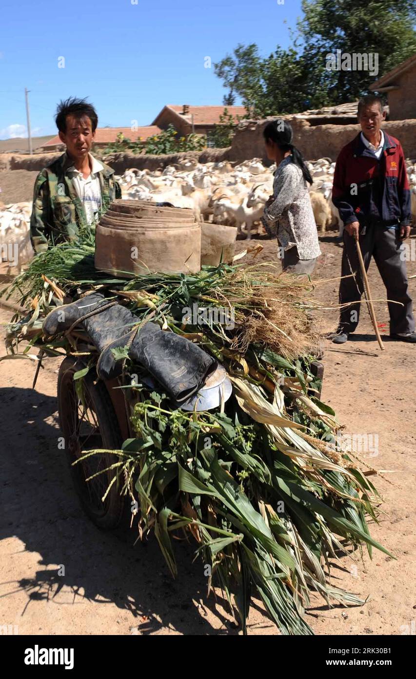 Scorched crops hi-res stock photography and images - Alamy