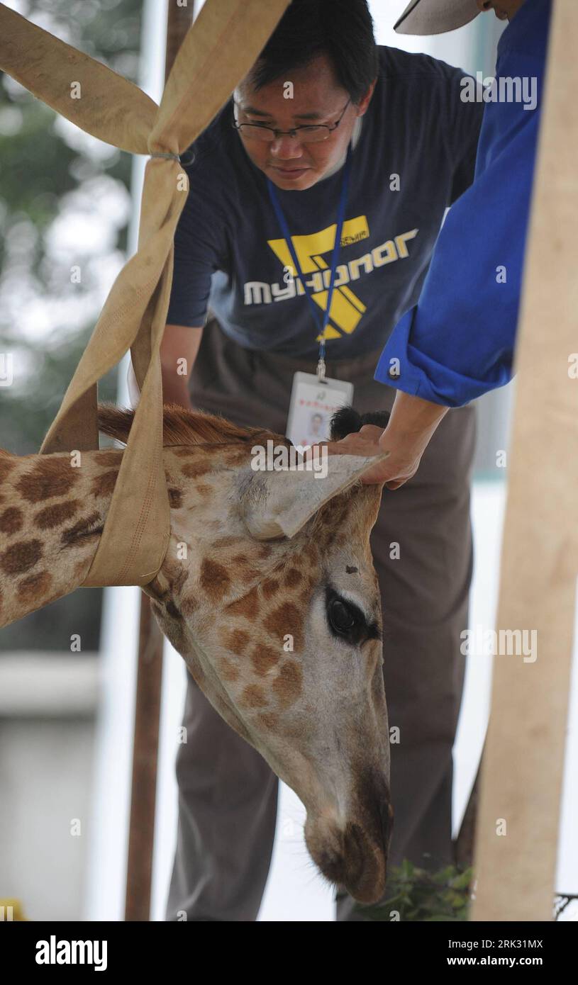 Parasitosis hi-res stock photography and images - Alamy