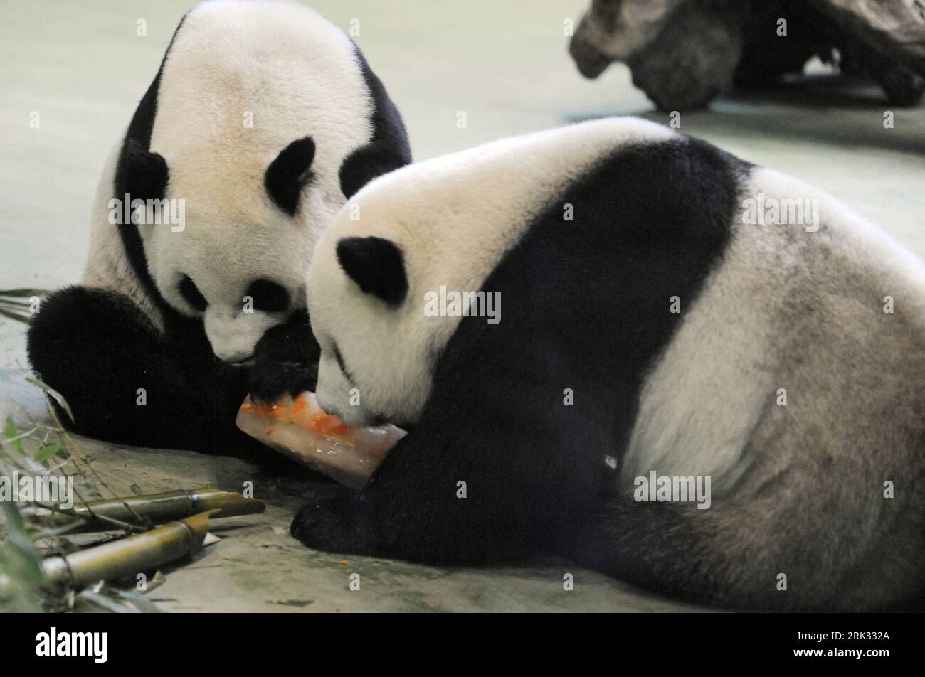 Ba ba teng hi-res stock photography and images - Alamy