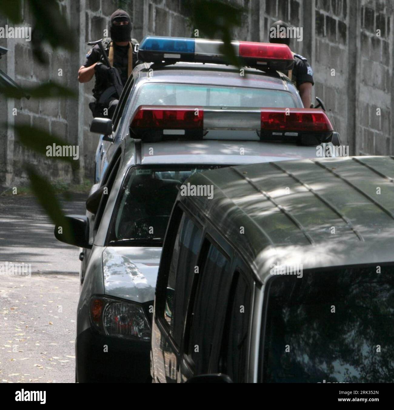 Ms 13 Leader Rooster