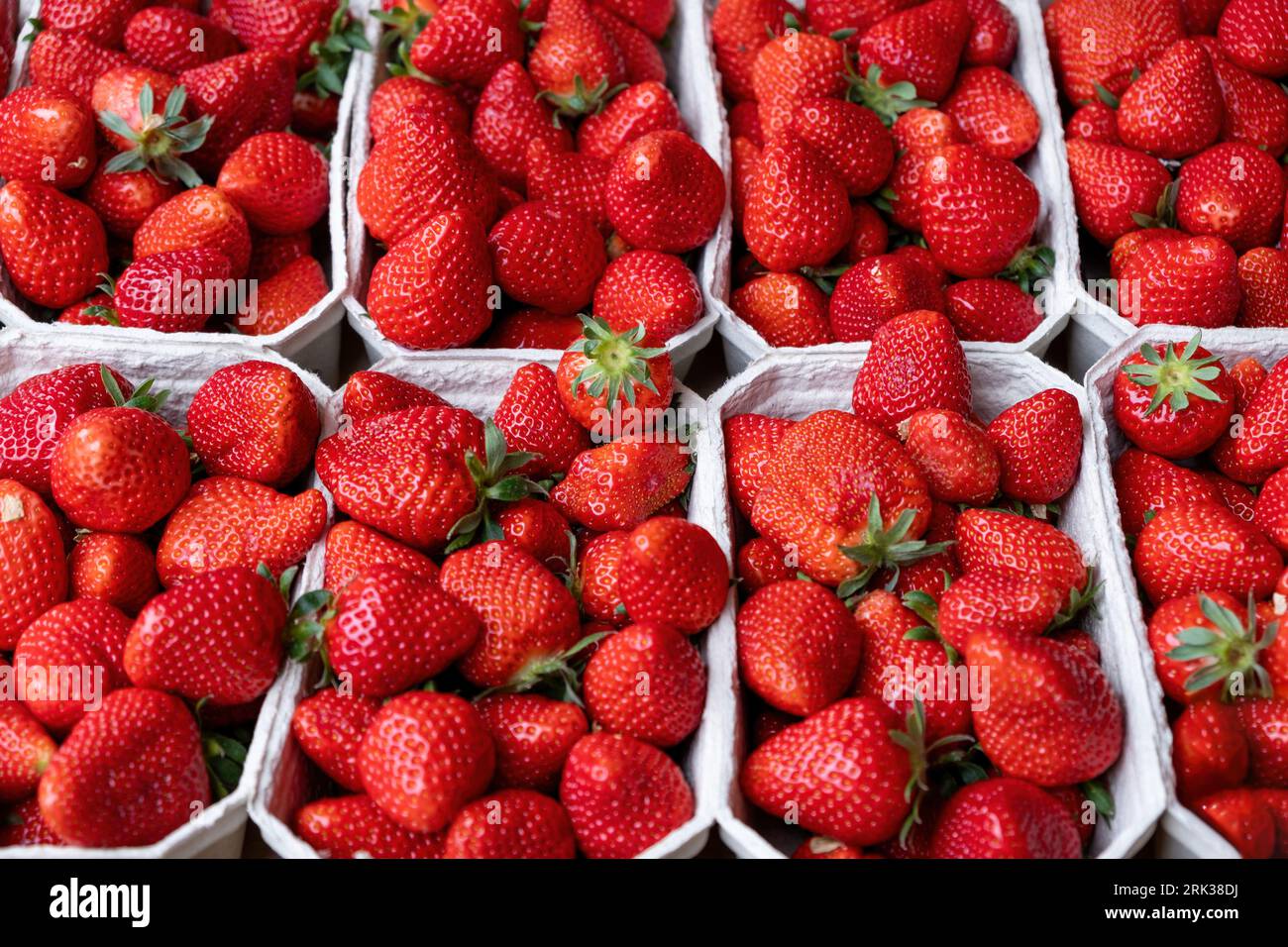 Strawberry in plastic container background, texture. Close up view of ...