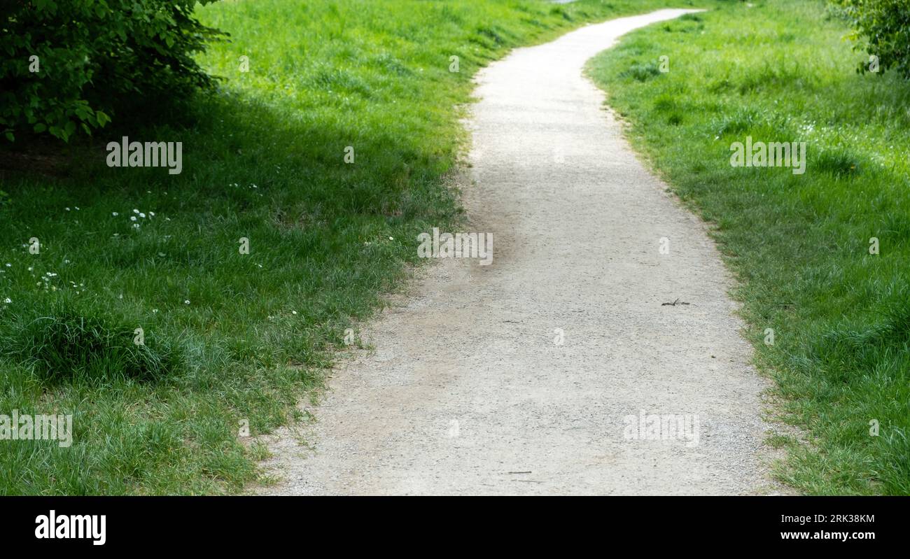 Empty winding white gravel footpath between low vegetation, fresh green ...