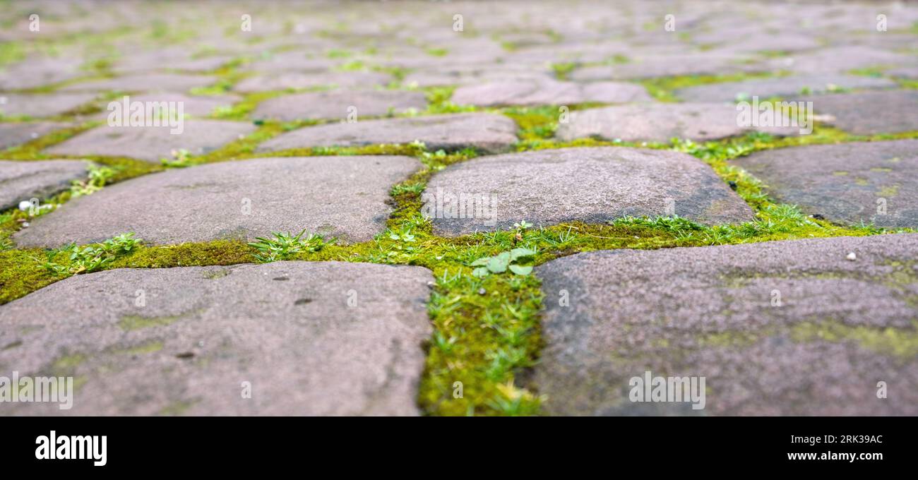 Cobblestone grey rock footpath closeup view. Empty stone paved floor ...