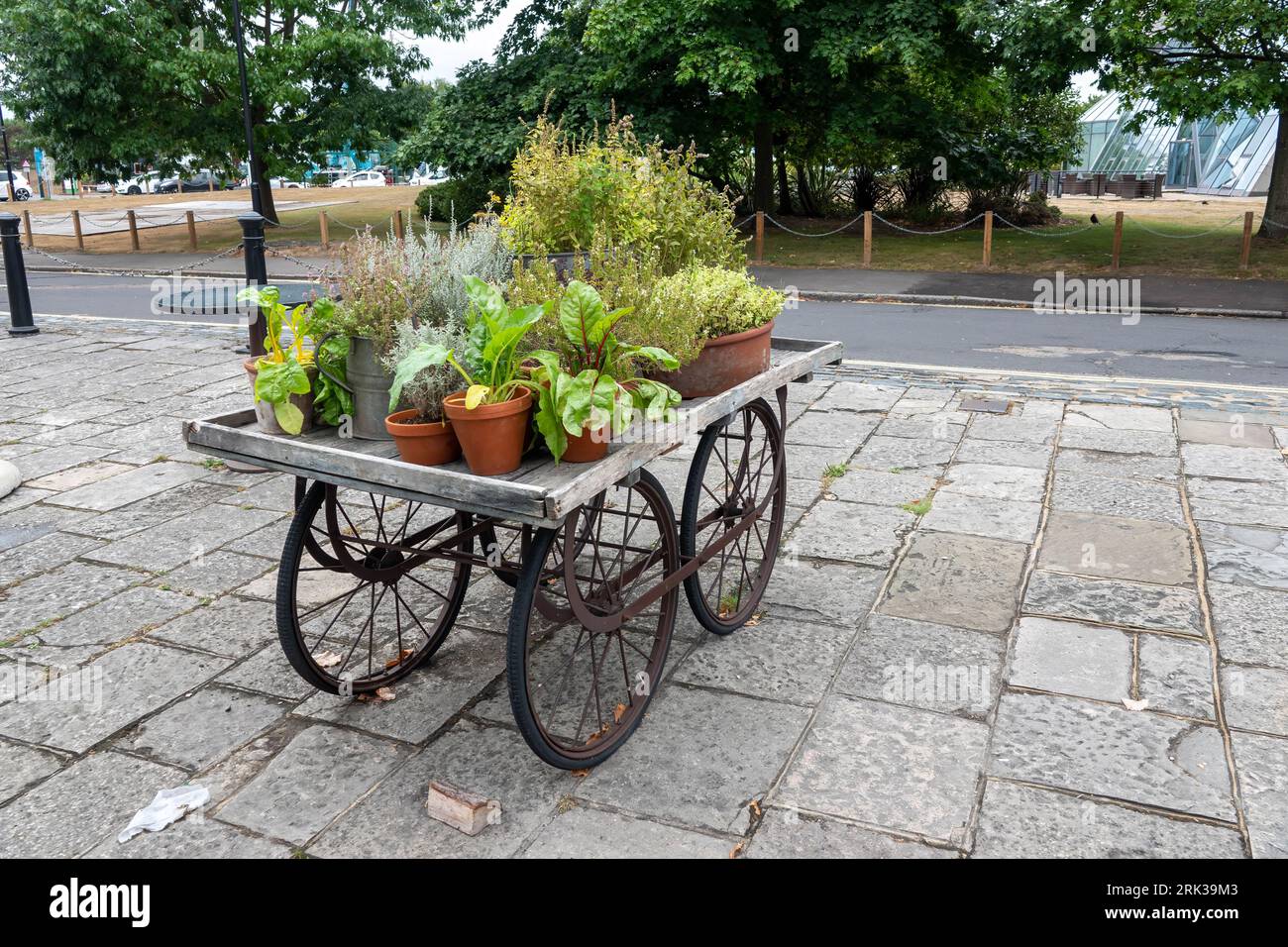 rustic old cart loaded with pots of flowers in the streets of ...