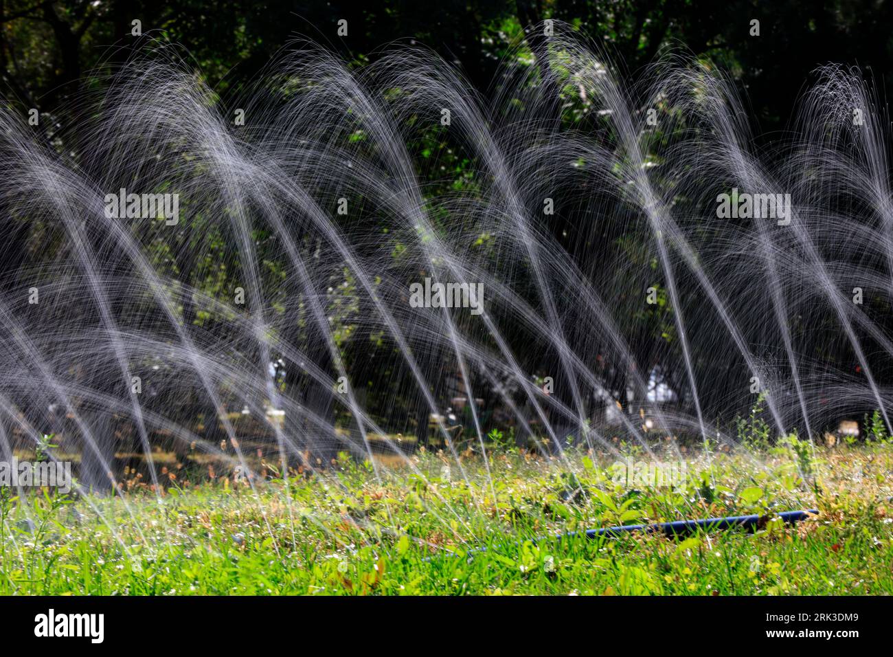 Micro irrigation hi-res stock photography and images - Alamy