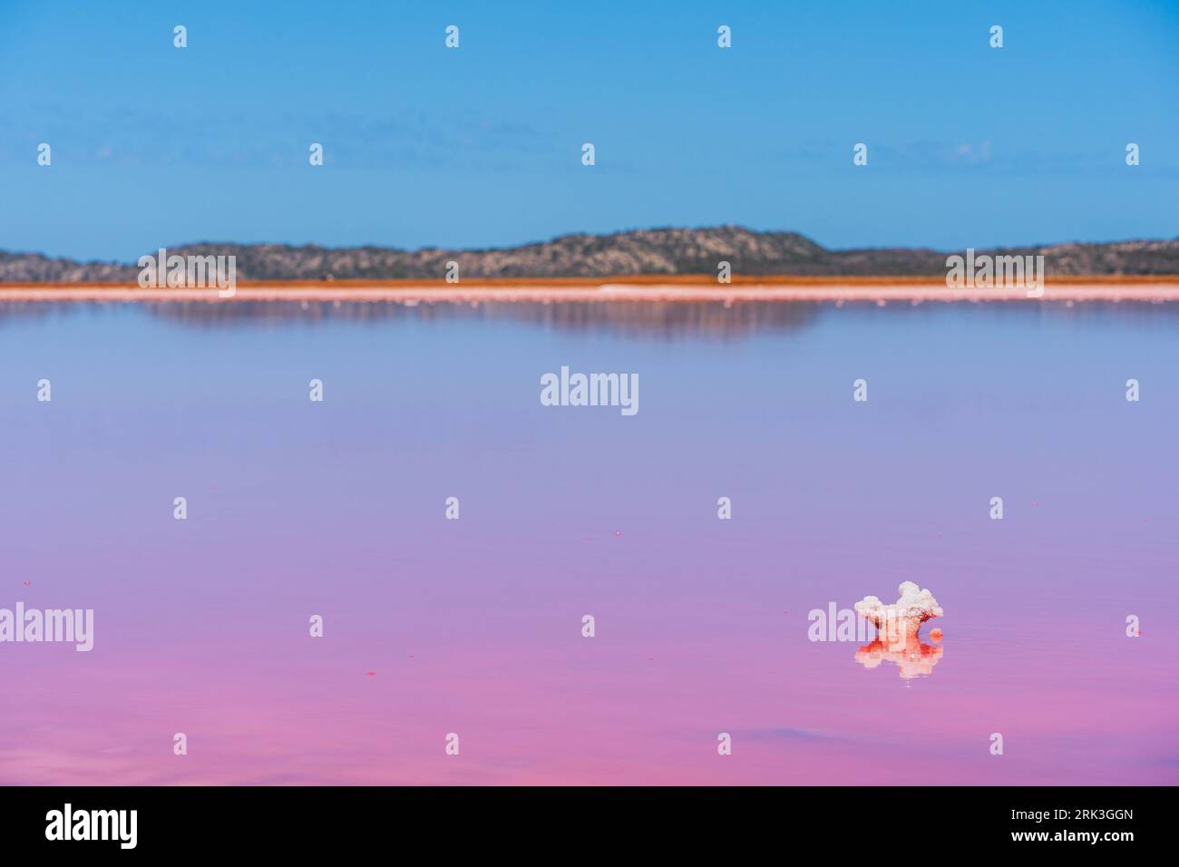 Hutt Lagoon (Pink Lake) in Port Gregory, Western Australia Stock Photo ...