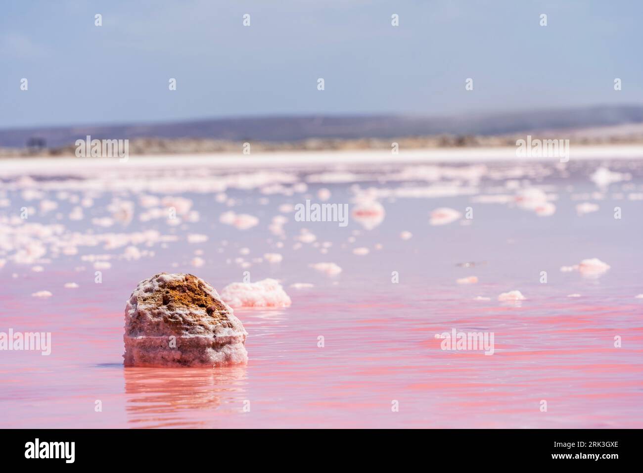 Hutt Lagoon (Pink Lake) in Port Gregory, Western Australia Stock Photo ...