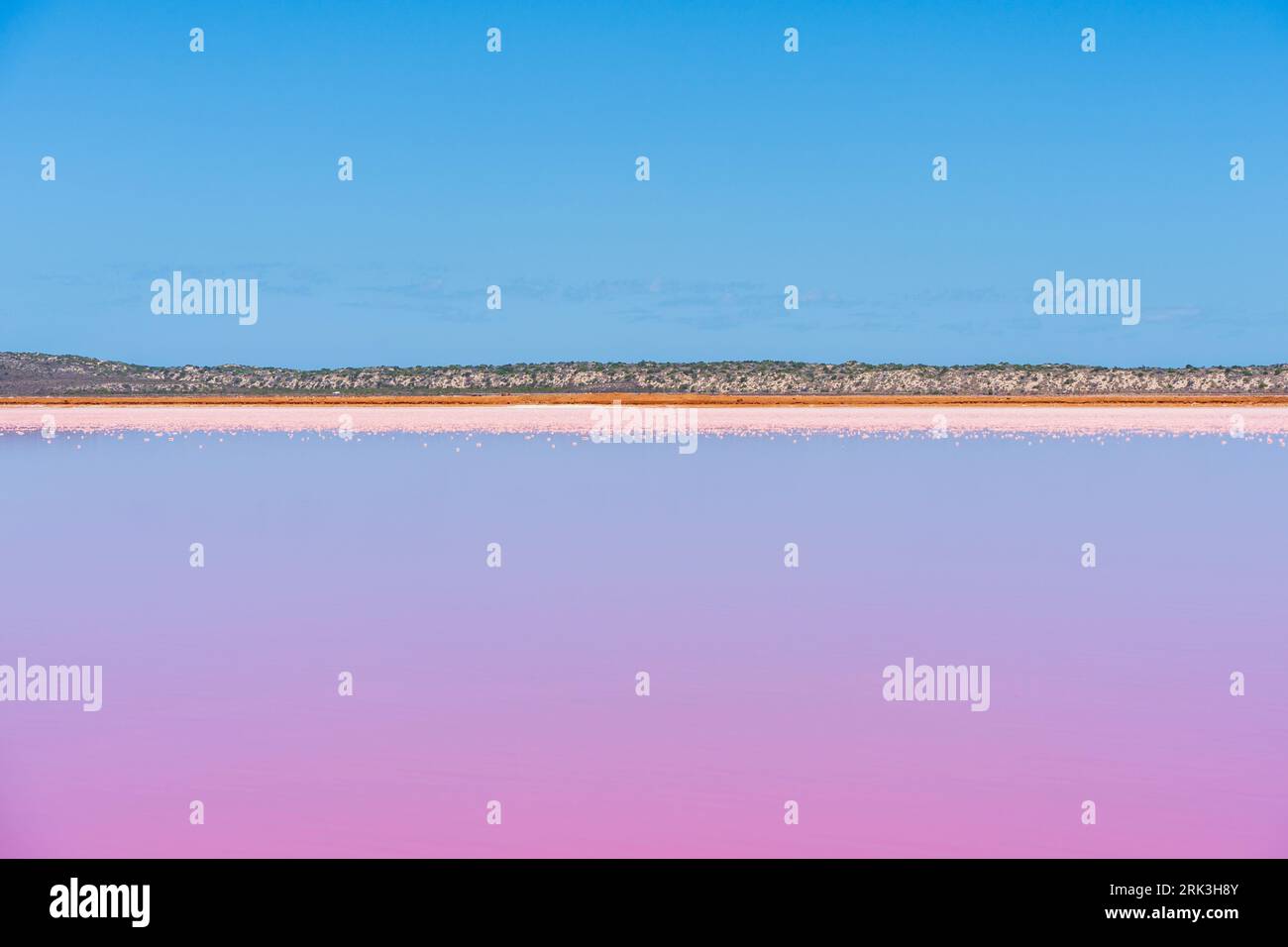 Hutt Lagoon (Pink Lake) in Port Gregory, Western Australia Stock Photo ...