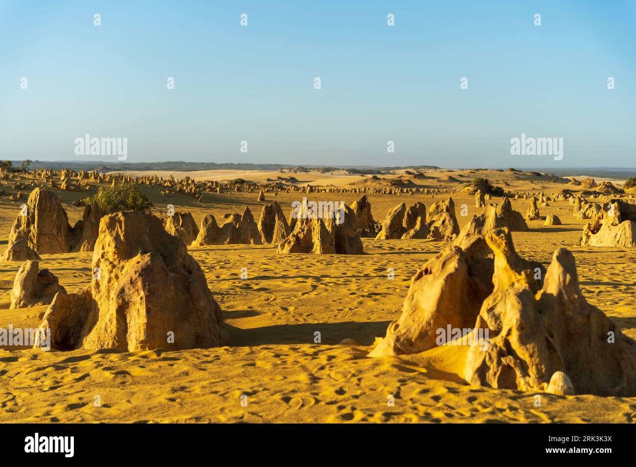 The Pinnacles desert in Western Australia Stock Photo - Alamy