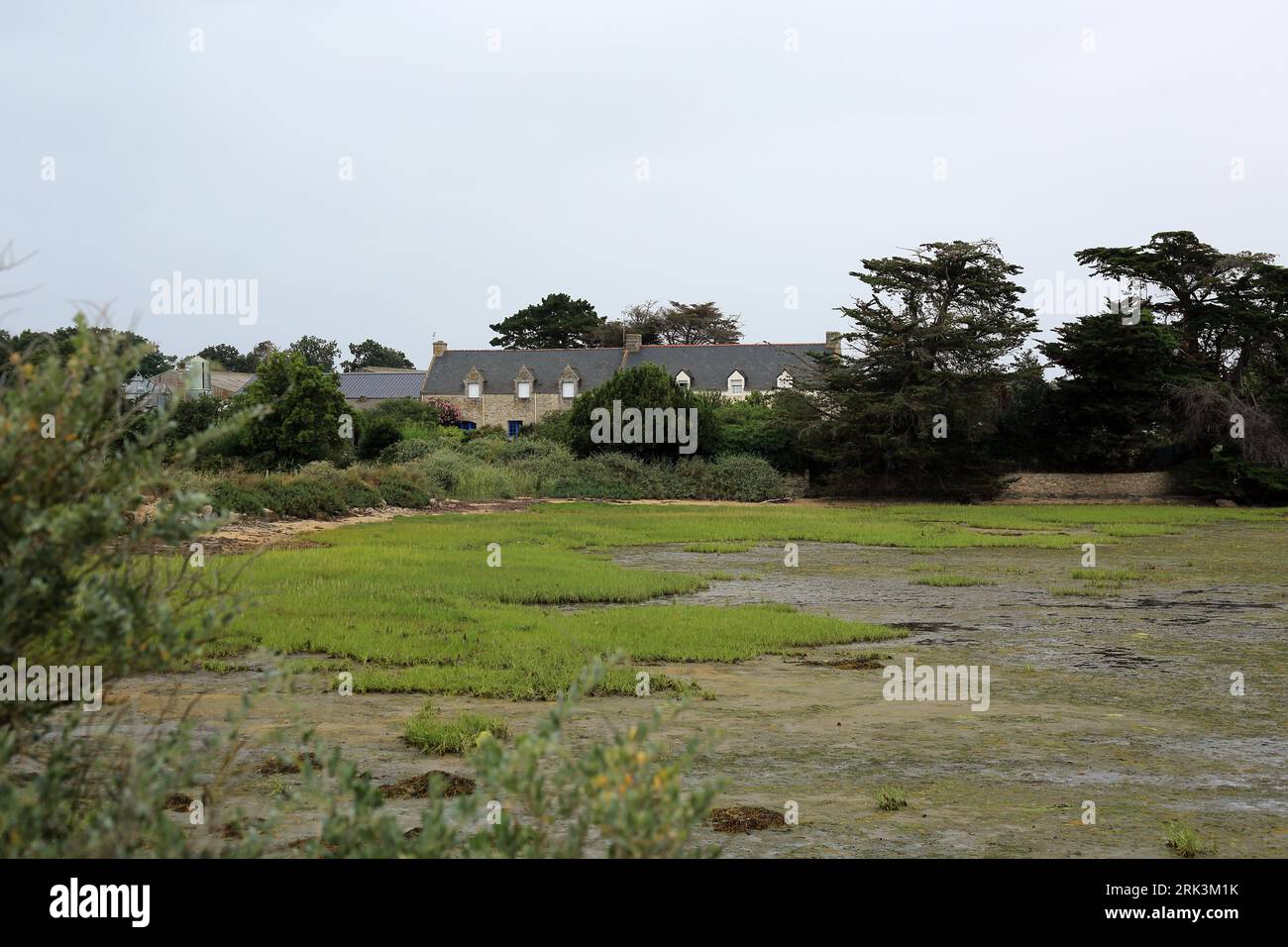 View across salt marsh at low tide at Port Brillac, Sarzeau, Morbihan ...