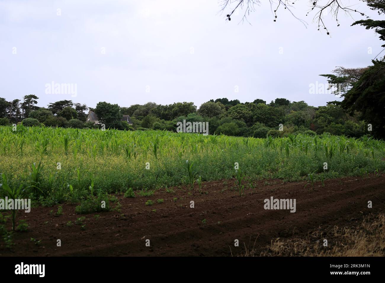 Bernon hi-res stock photography and images - Alamy