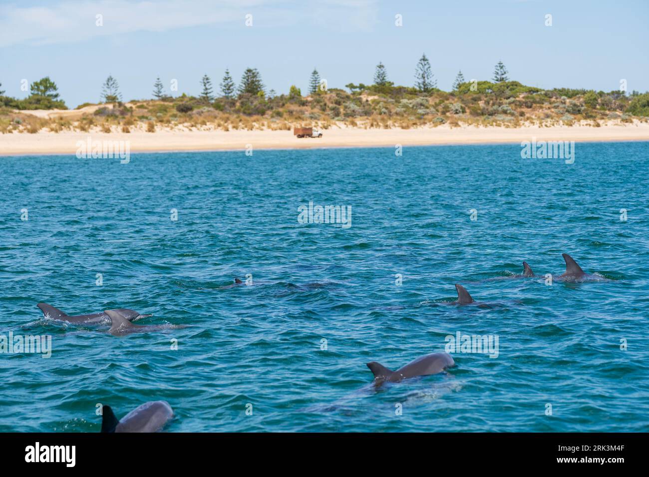 Bunbury western australia hi-res stock photography and images - Alamy