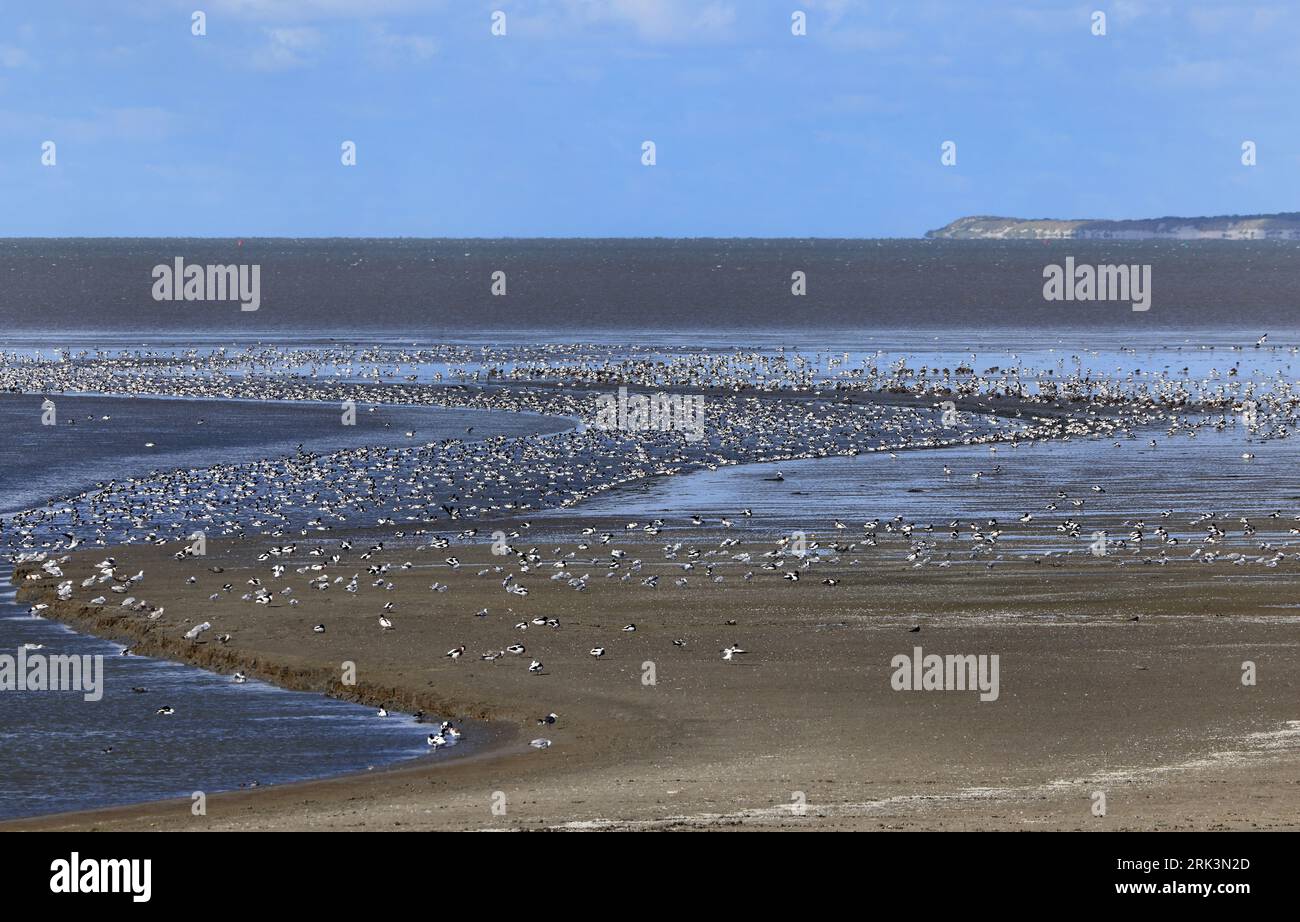 Kouwe faart hi-res stock photography and images - Alamy