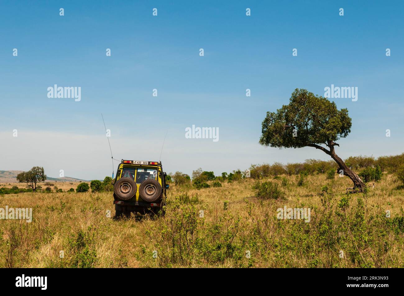 An off-road vehicle driving in the African savanna. Masai Mara National ...