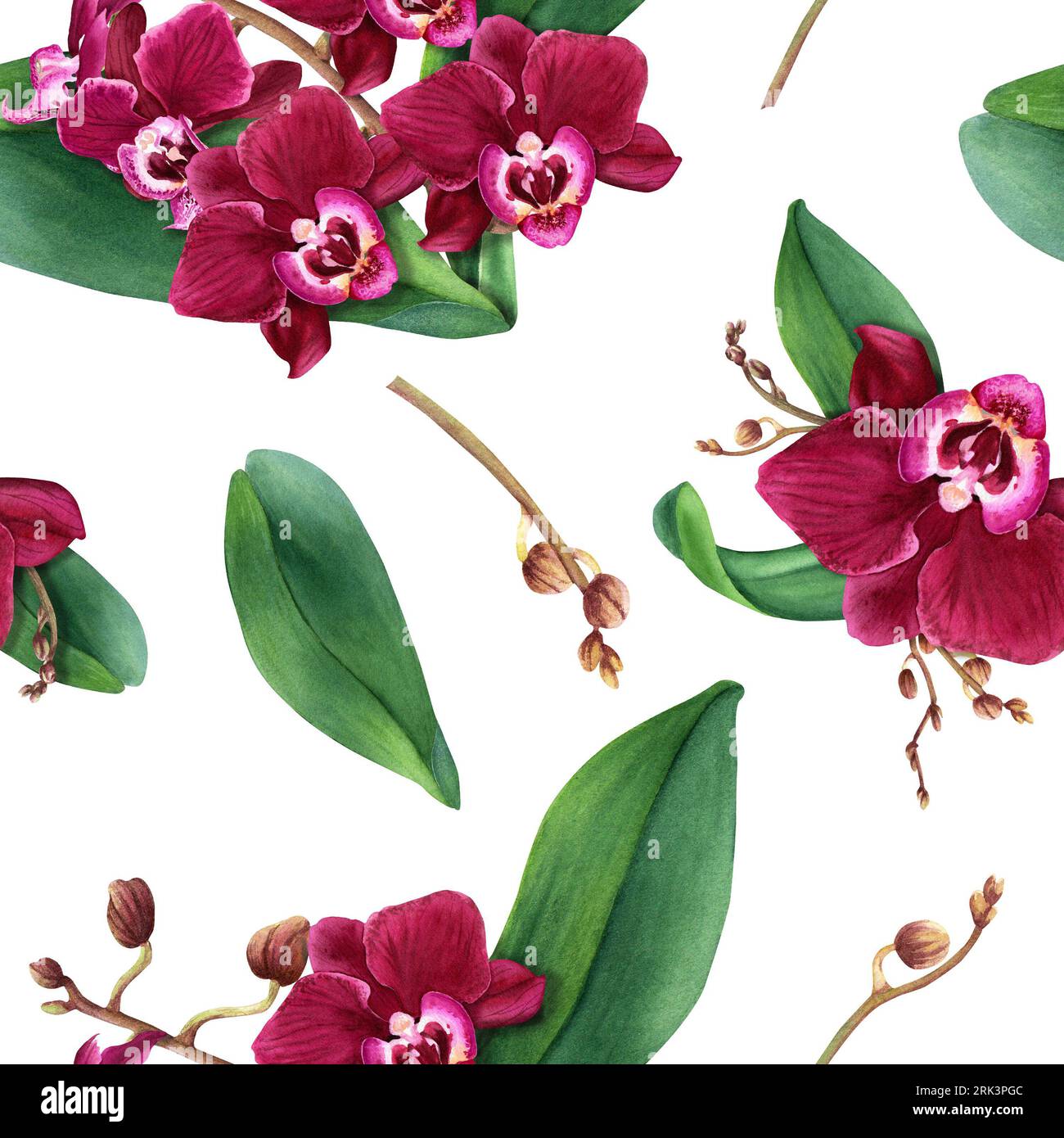 Watercolor seamless pattern with flower orchid blooms, leaves and buds ...