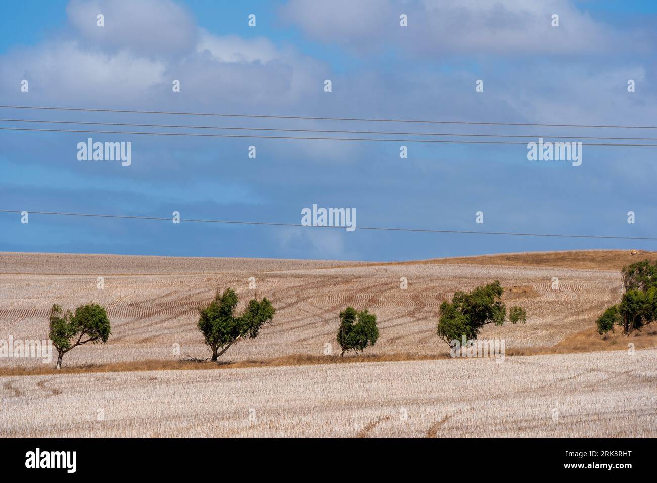 Farmland in the Australian outback Stock Photo - Alamy