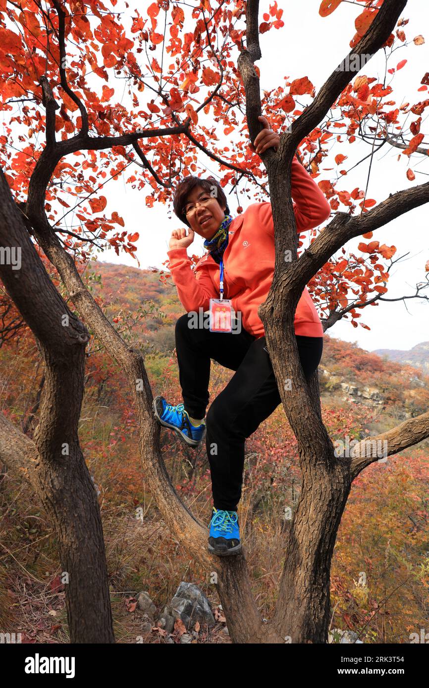 Beijing, China - October 20, 2018: A lady is visiting pofengling ...