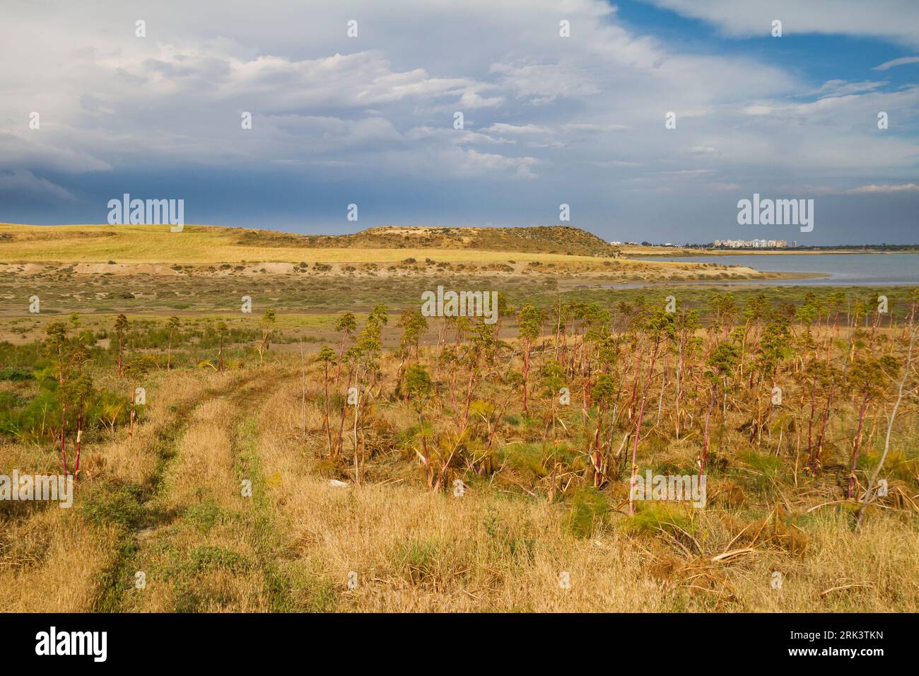 Mazotos hi-res stock photography and images - Alamy