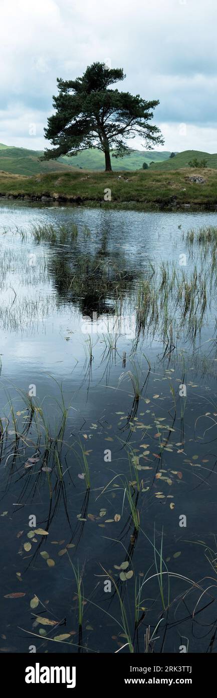 Kelly pond hi-res stock photography and images - Alamy