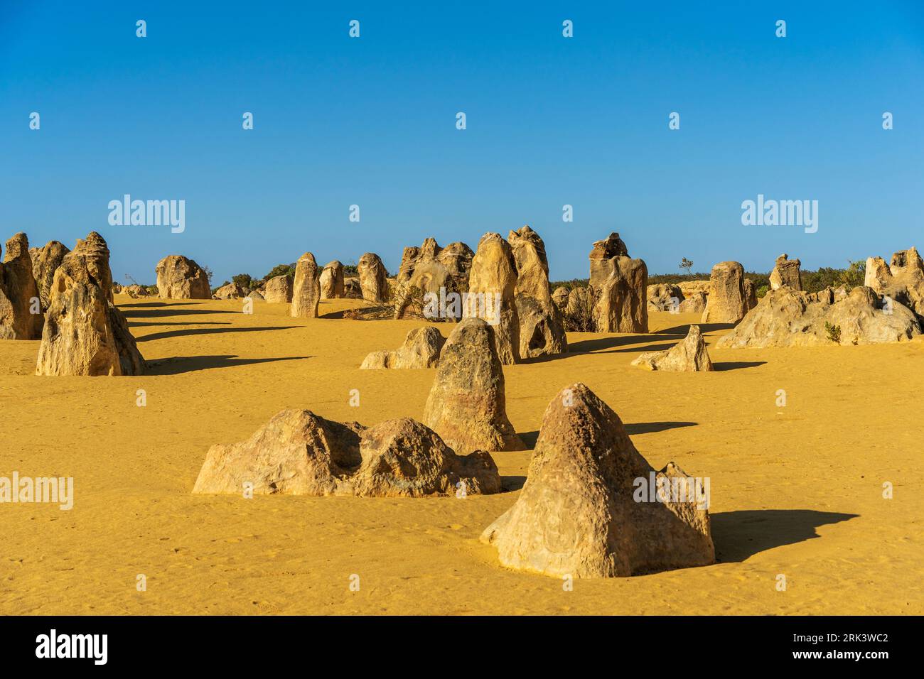The Pinnacles desert in WA Stock Photo - Alamy