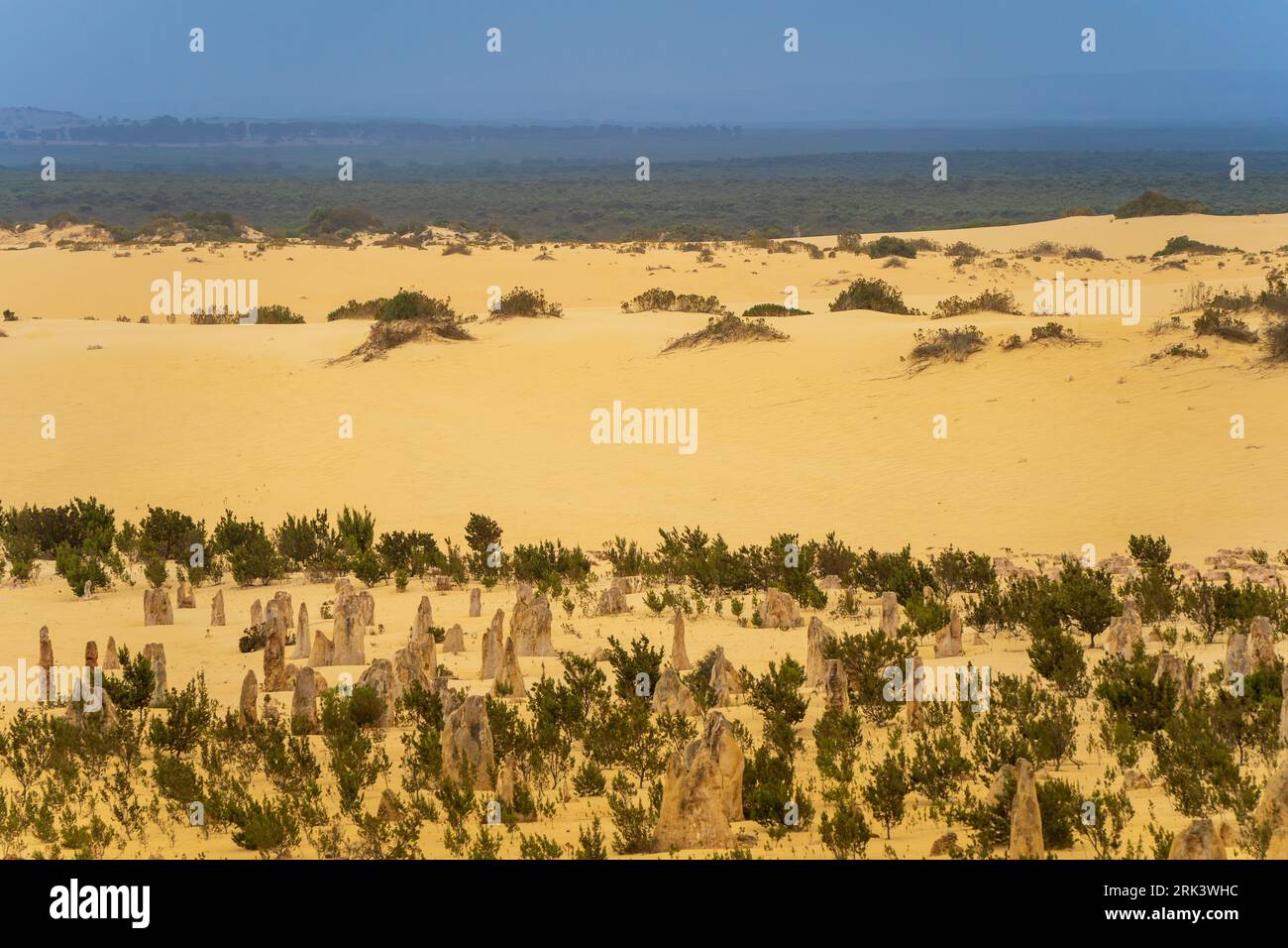 The Pinnacles Desert in Nambung National Park Stock Photo - Alamy