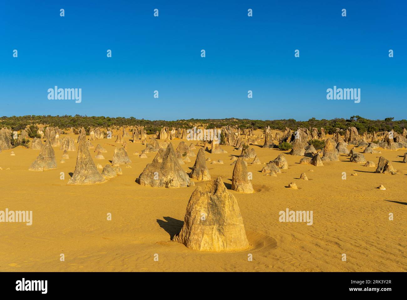 The Pinnacles desert in WA Stock Photo - Alamy
