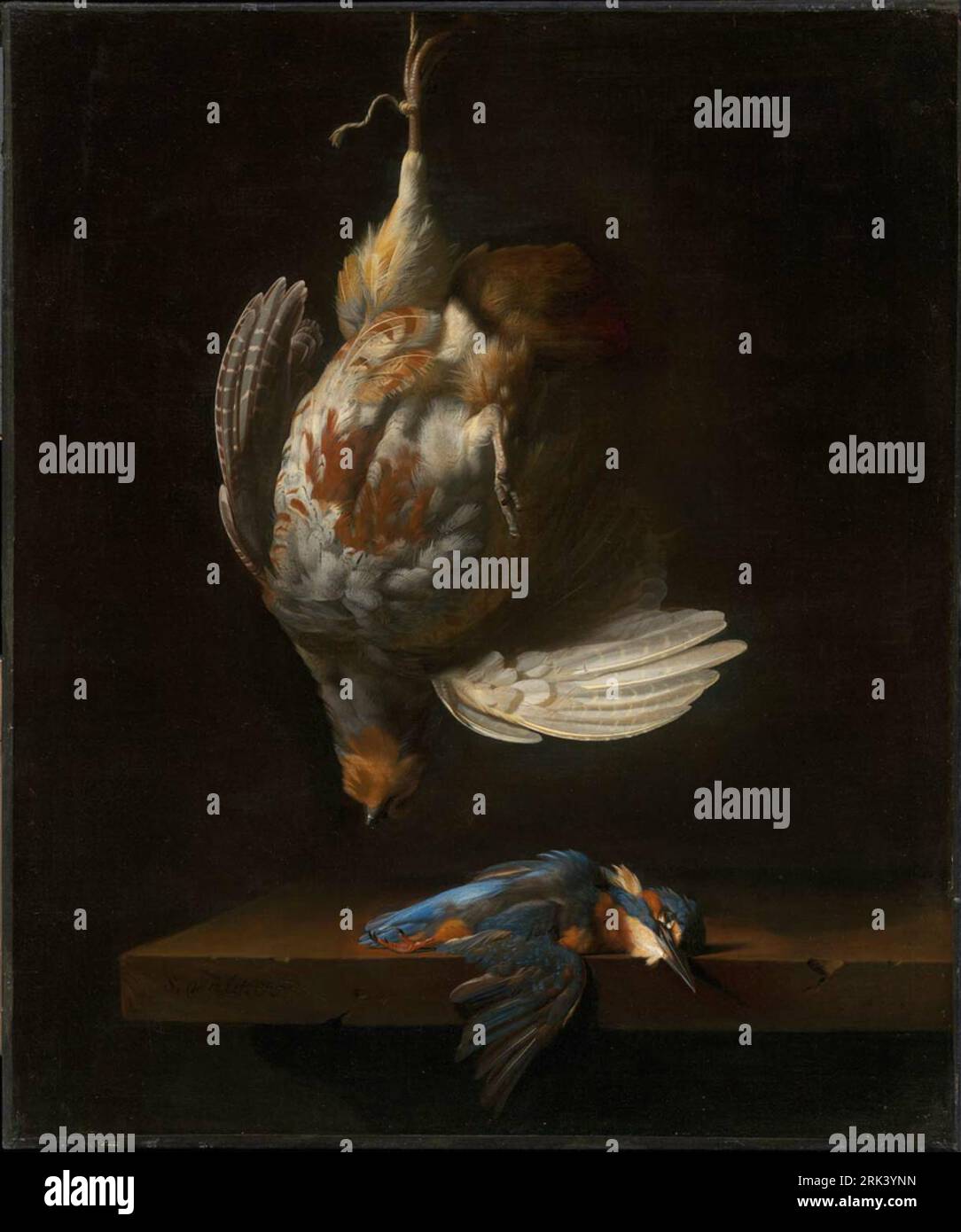 Still Life with Dead Partridge and Kingfisher between 1663 and 1717 by ...