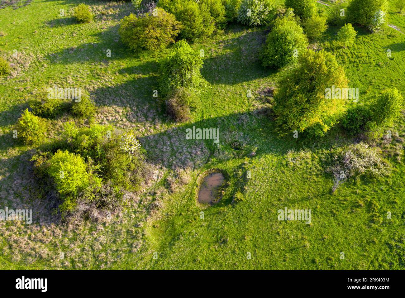 Aerial view of green pasture with small natural drinking ponds for ...
