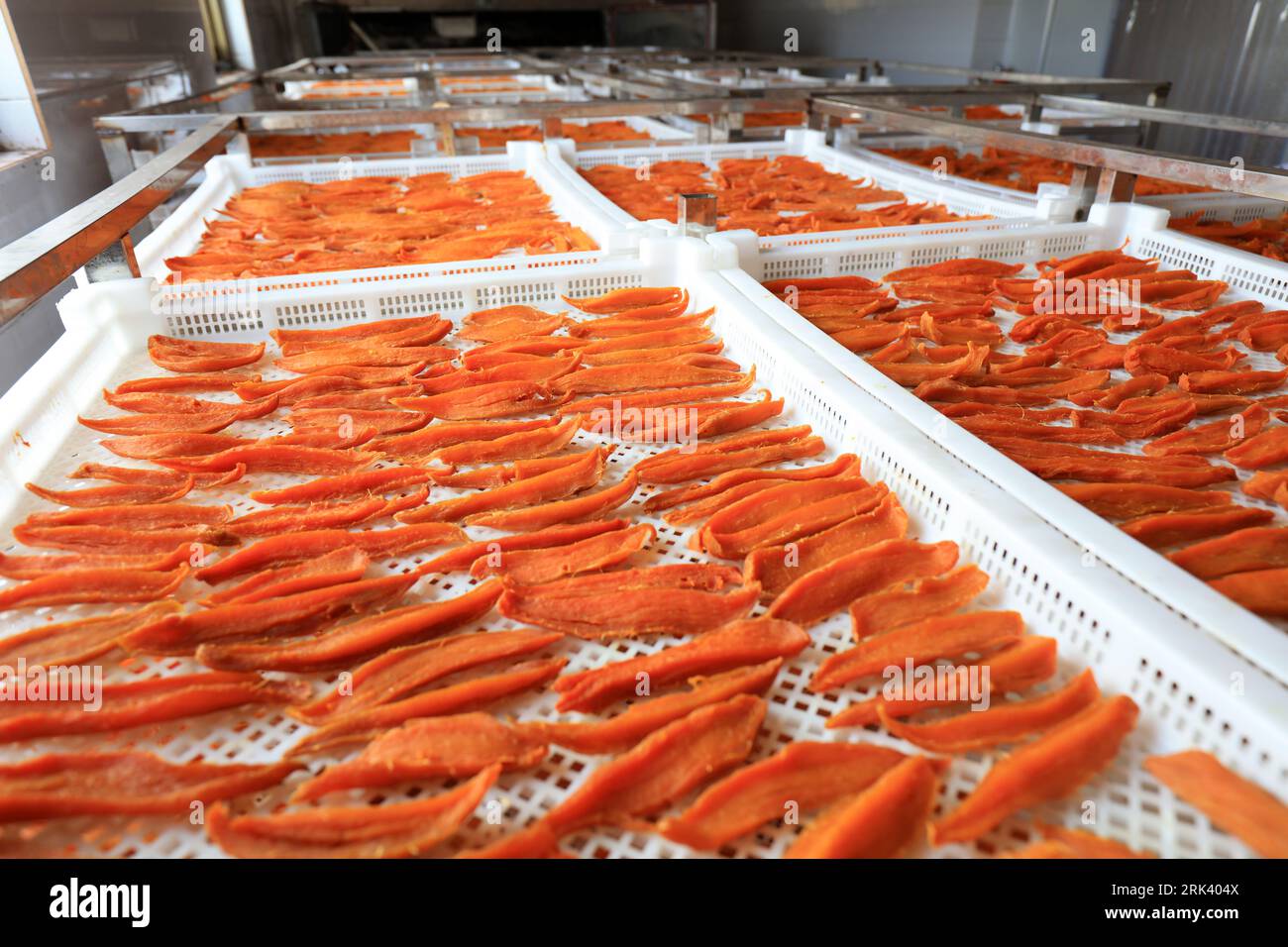 Drying sweet potato in a production workshop, North China Stock Photo ...