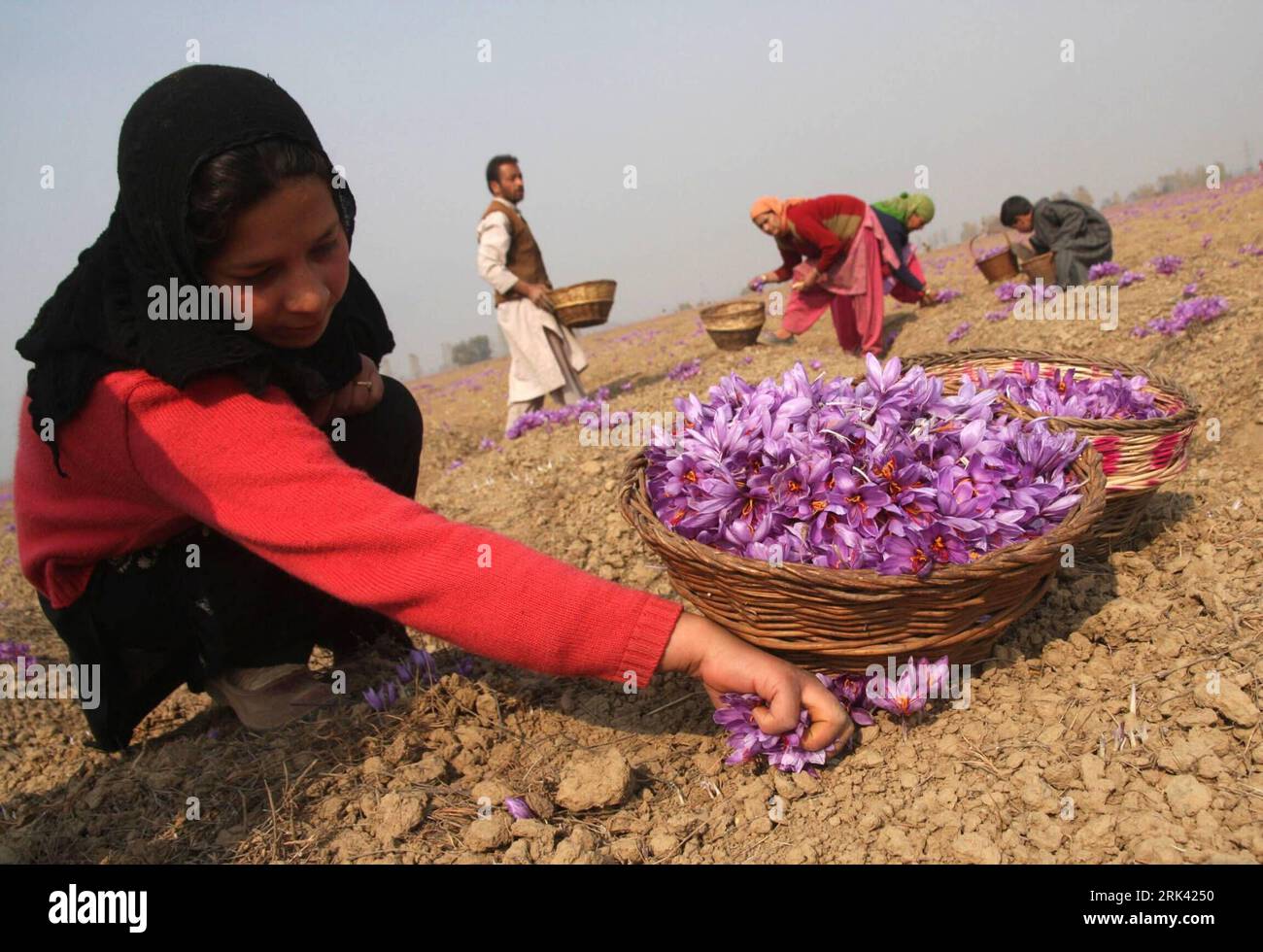 2009 season 4 hi-res stock photography and images - Alamy