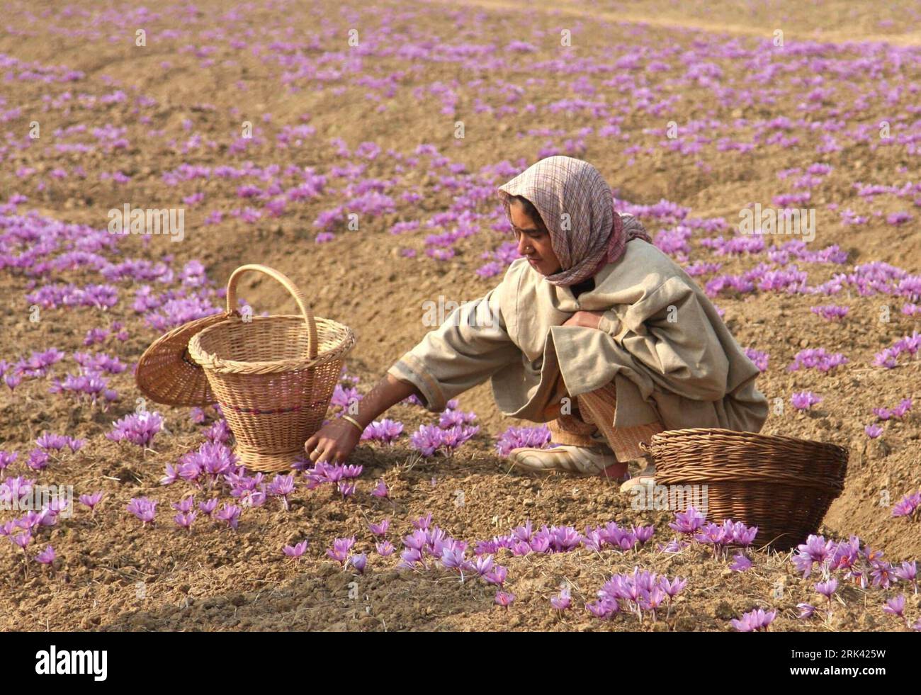 03 nov 2009 hi-res stock photography and images - Alamy