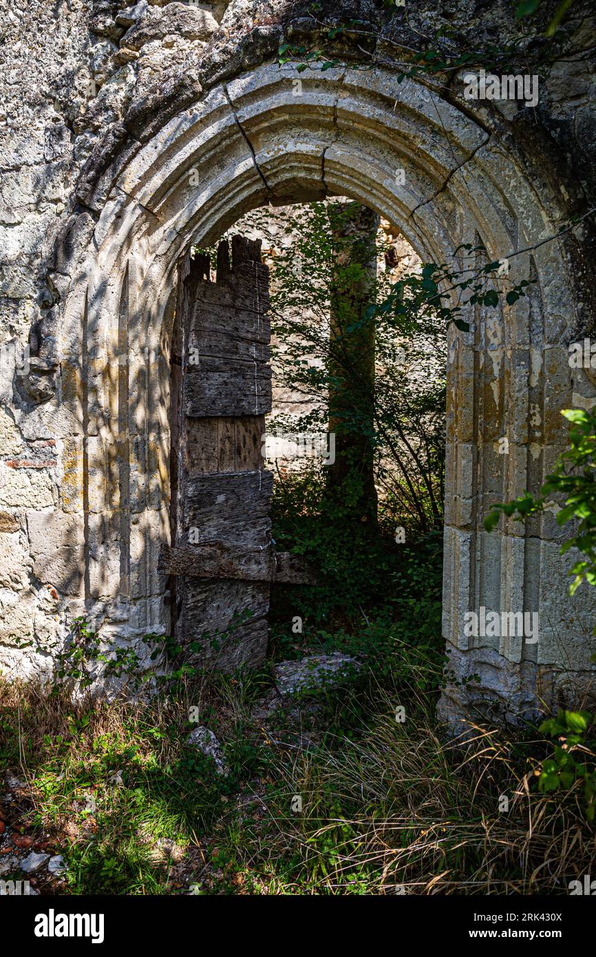 Church door ruins in forest Stock Photo - Alamy