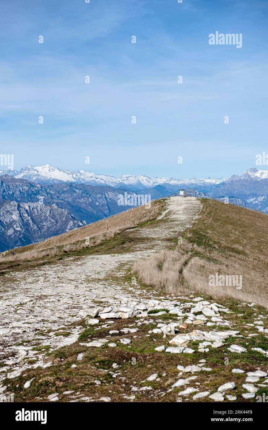 A breathtaking landscape featuring a lush grassy hillside with snow ...