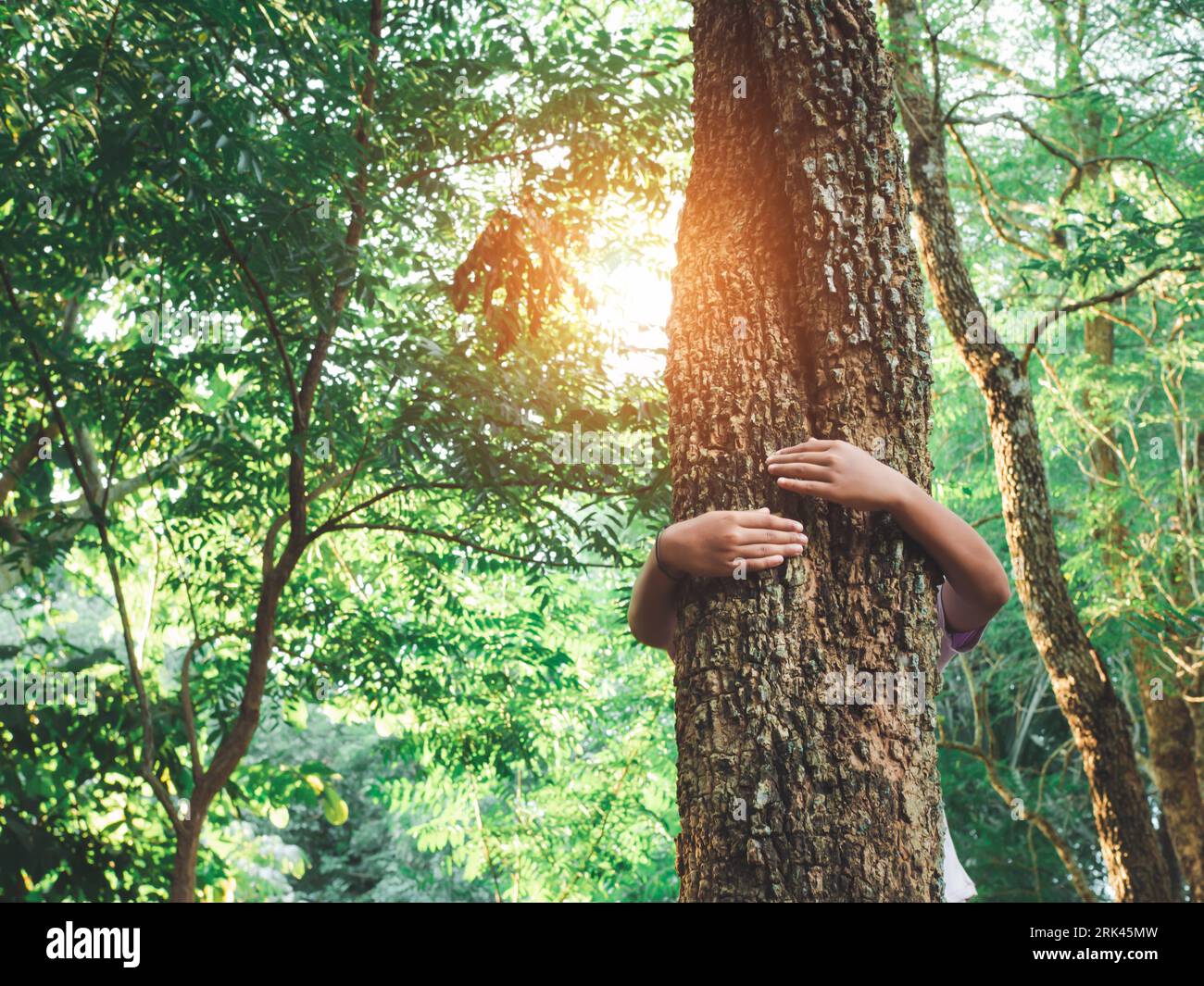 Human hands are hugging a tree in love. Representing helping to ...