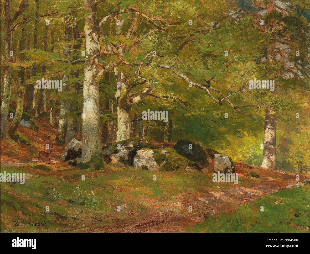 Woodland Scene with Deer by 1937 by Hugo Darnaut Stock Photo - Alamy