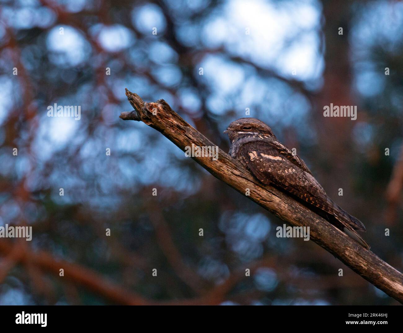 Sit on brench hi-res stock photography and images - Alamy