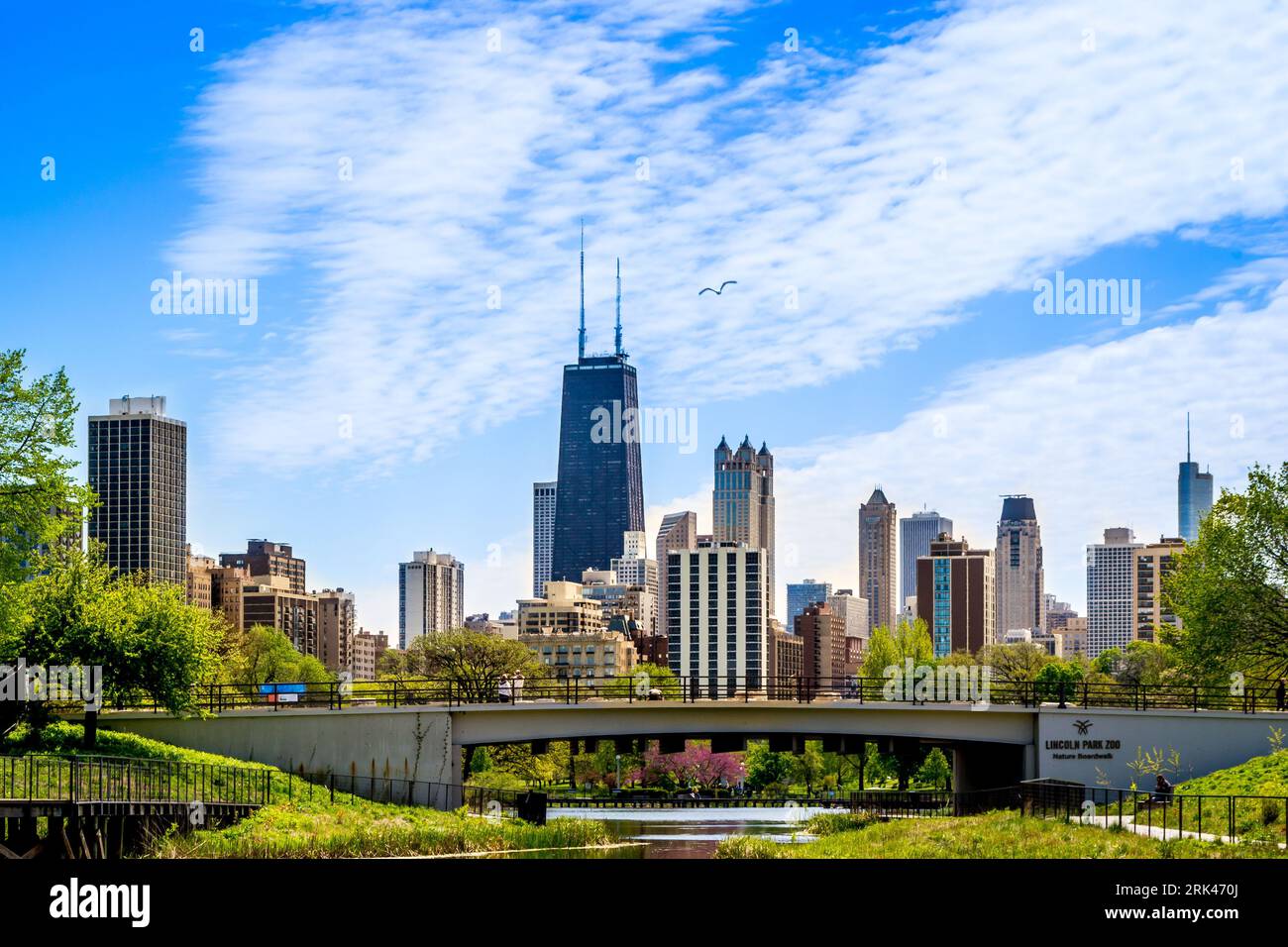 The iconic Chicago skyline with the green park in the foreground Stock ...