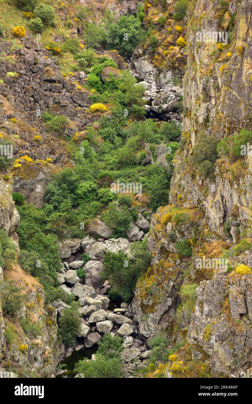 Los Trigales stream, tributary of the Duero river. Mirador de las Barrancas, Fariza, Arribes del ...