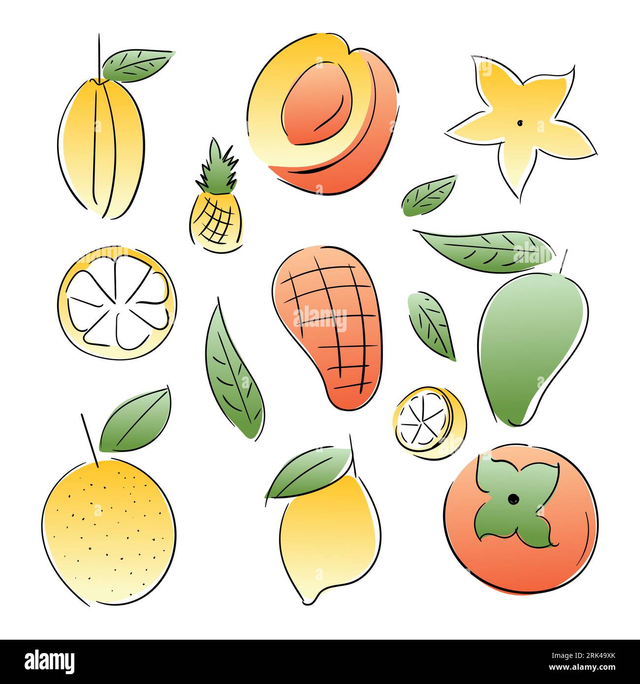 Peach tropical fruit on Stock Vector Images - Alamy