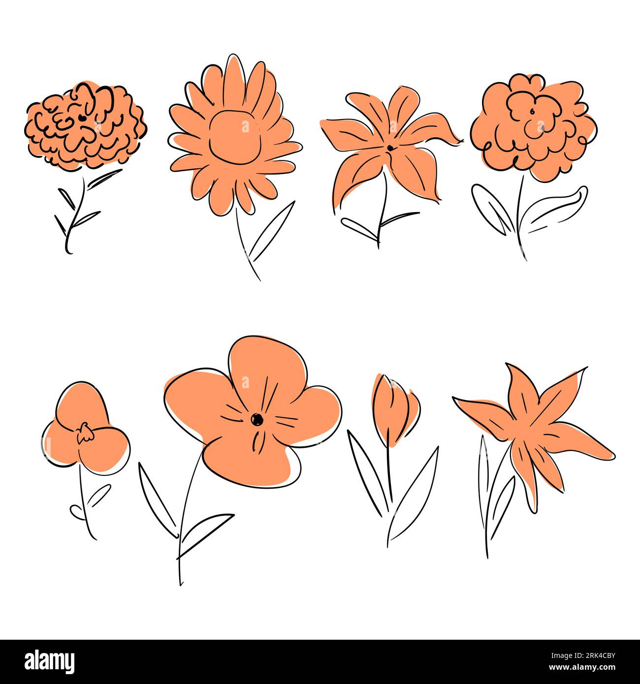 Hand drawn elements of eight orange flowers isolated on white ...