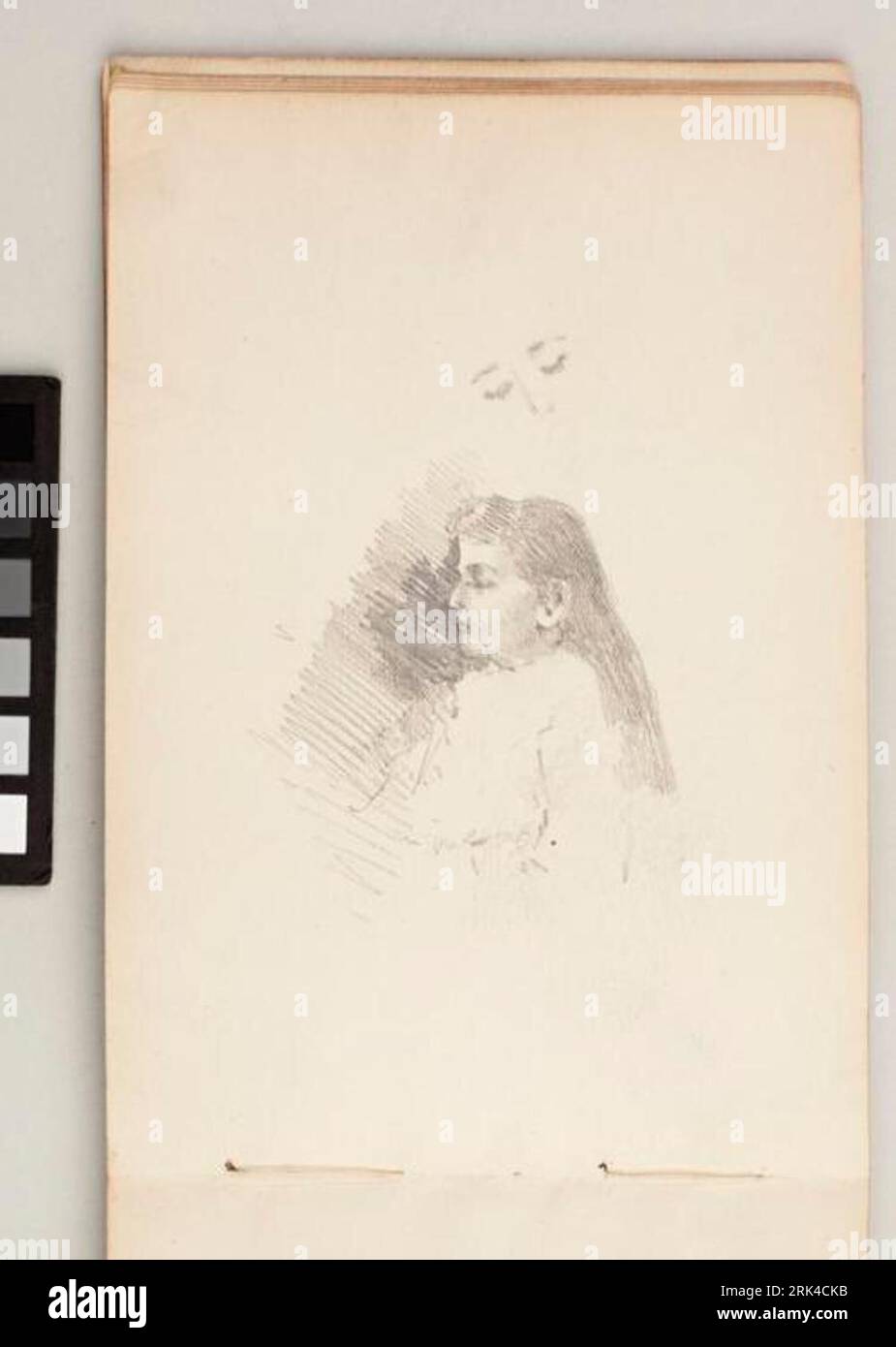 Profile leaf hi-res stock photography and images - Alamy