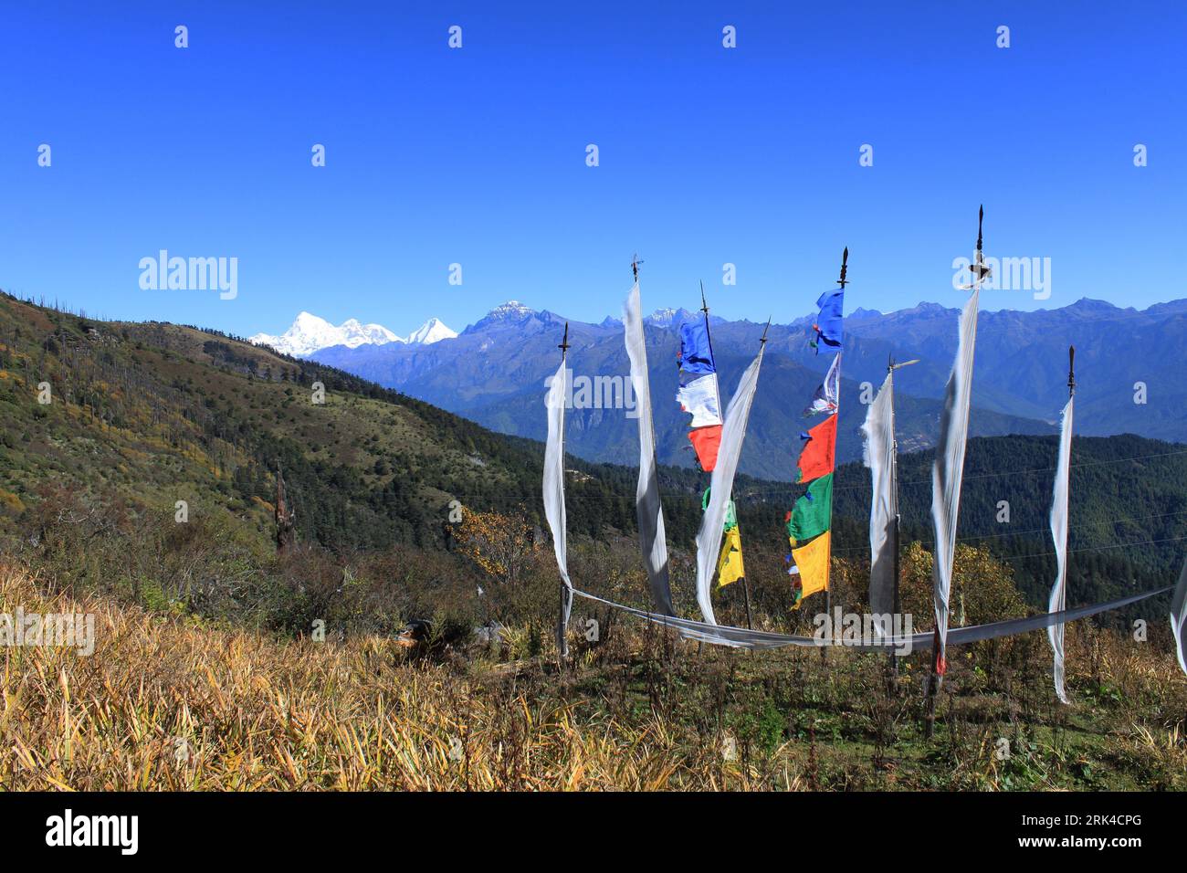 The prayer flags at Chelela Pass. Bhutan Stock Photo - Alamy